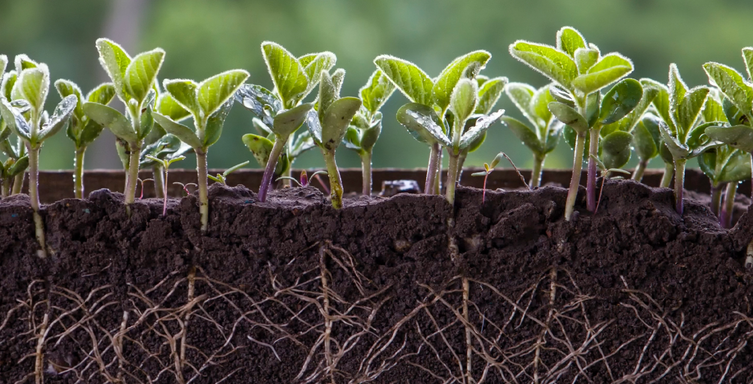 Agriculture, Food & Natural Resources | BARNWELL-COUNTY | MyCareerTech